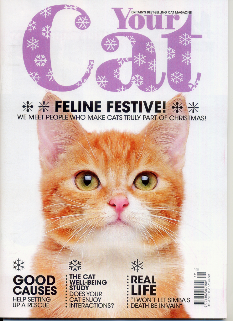 YOUR CAT magazine