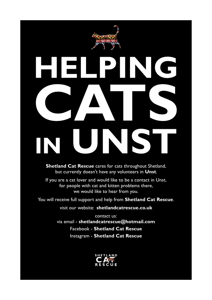 helping cats on Unst